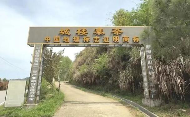 新洲白茶这么贵吗图标