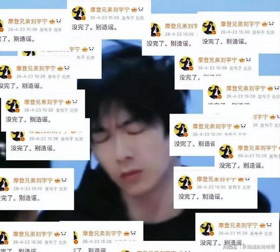 刘宇宁承认婚史无子女截图