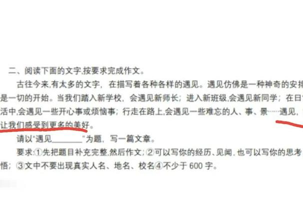 《遇见》中考满分作文记叙文图标