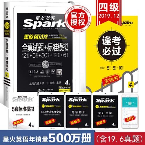 2019年英语四级6月真题图标