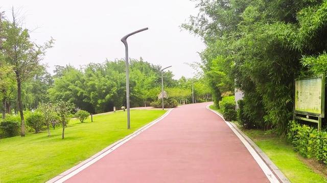 蚂蚁森林绑定步数图标