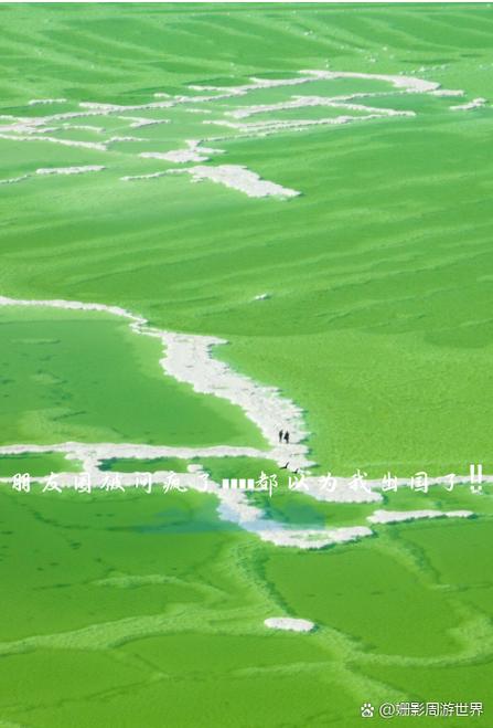 朋友圈设置绿色是开还是关截图