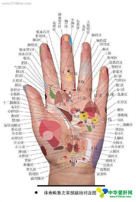 手掌部位名称图图标