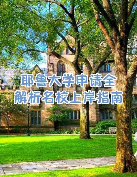 世界二十强名校图标