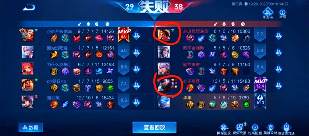王者荣耀怎么看别人跟谁双排游戏截图