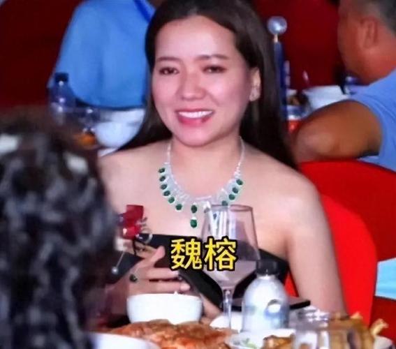 四大家族国语完整版截图