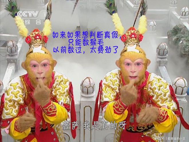 辨别真假美猴王图标