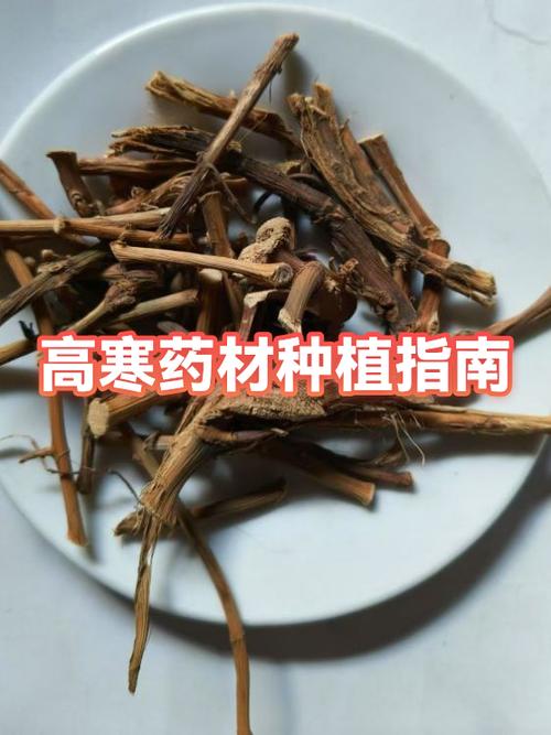 中草药降血压什么药最好图标