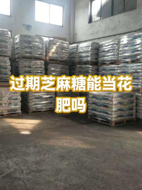 过期的糖果能干嘛图标
