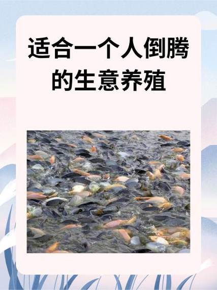 适合一个人单干养殖图标