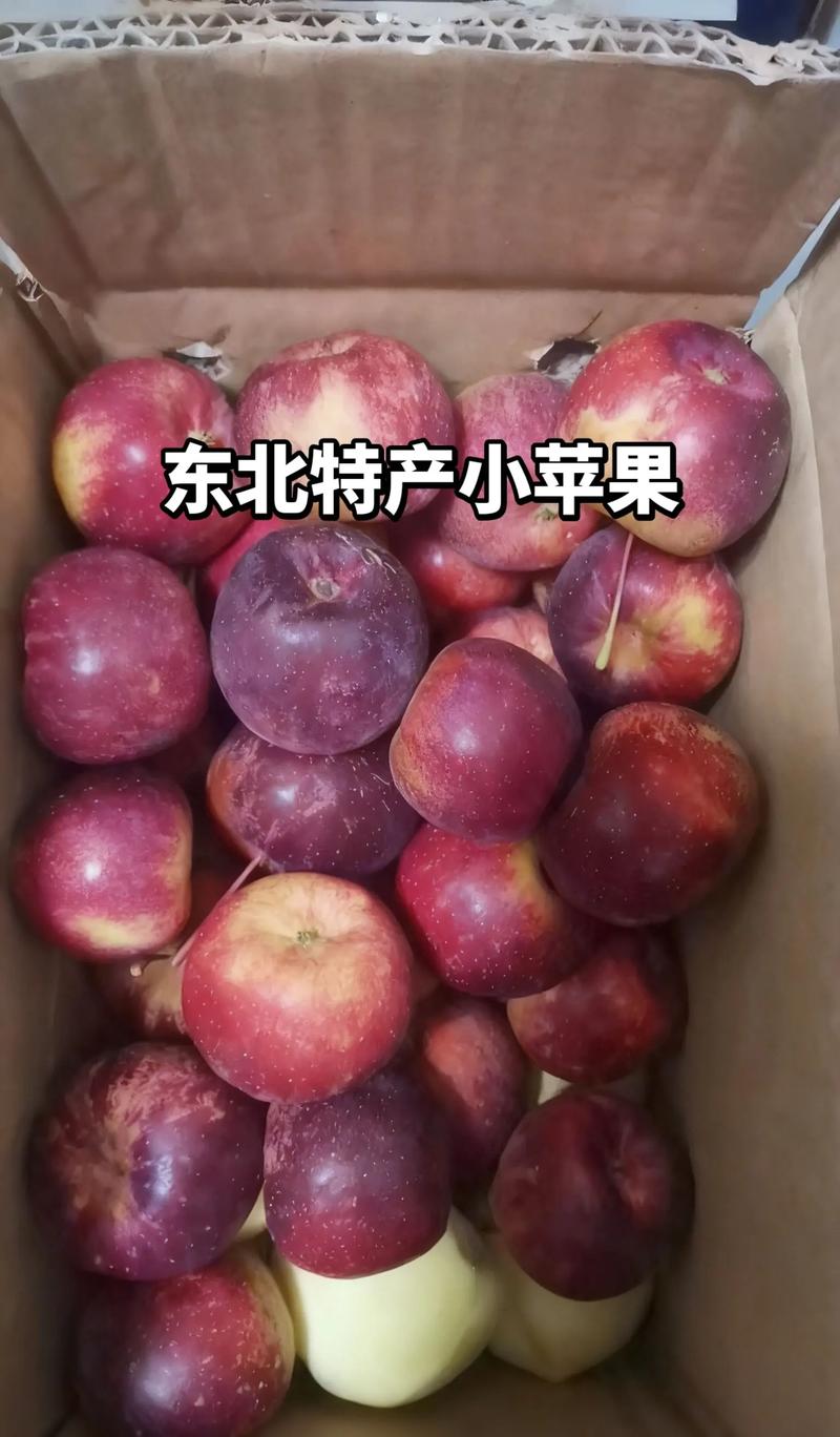 龙哥的小苹果截图