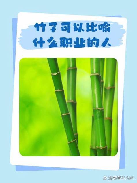 竹子比喻什么女人图标