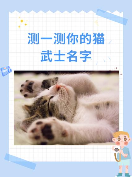 猫武士捏猫软件图标