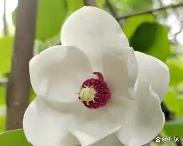省钱老婆和花钱老婆图片图标