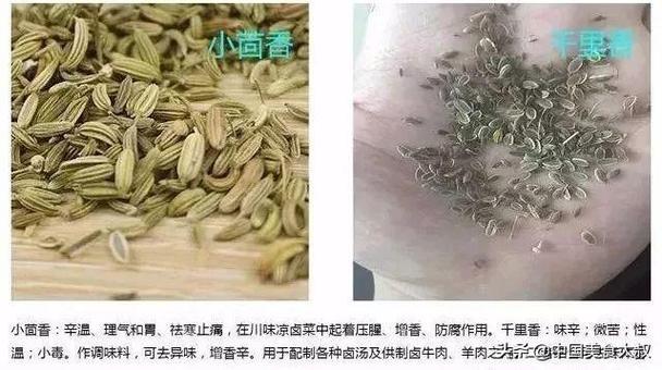 川味框架免root下载图标