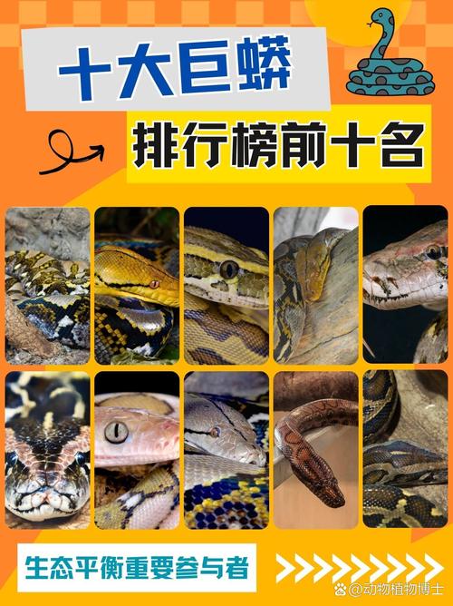 毒蛇排行榜前十名图标