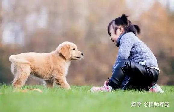 小孩喜欢养小动物是好是坏截图
