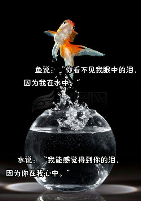 鱼与水的经典语录图标