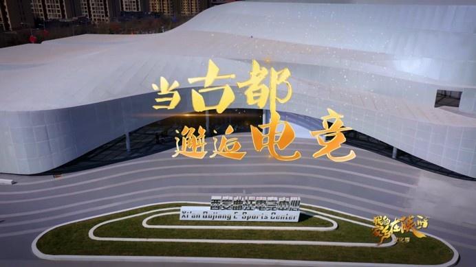 陕西卫视直播免费观看图标