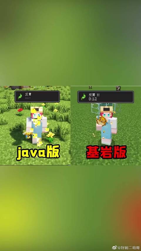 我的世界基岩版什么区别截图