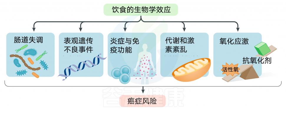 杭州谷禾健康