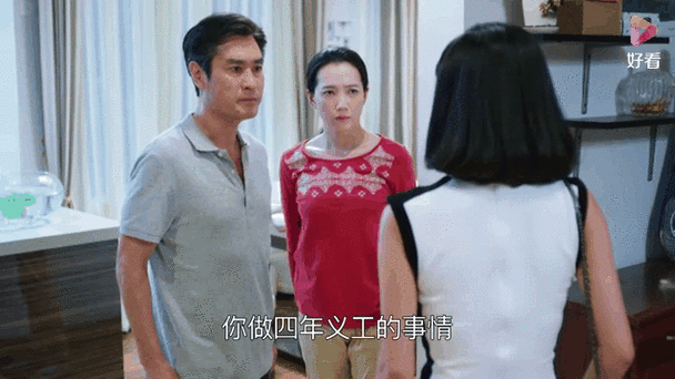 家庭的秘密重制版0.495攻略