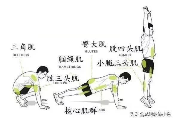 为什么叫波比跳图标