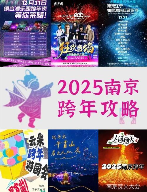 南京银杏乐园跨年夜直播图标