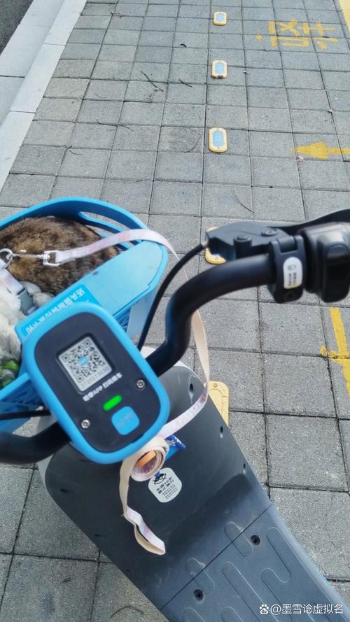 电子秤为什么会滴滴滴的响图标