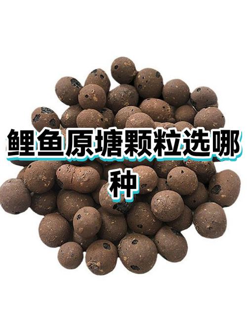鲤鱼为啥有的有籽有的没籽图标