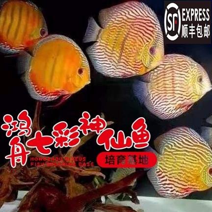 仙家渔场图标