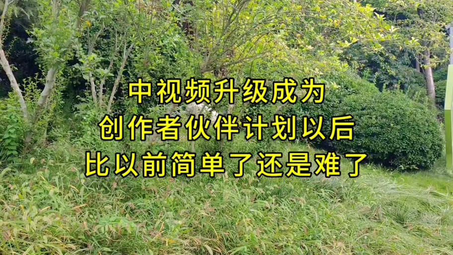 加入创作者伙伴计划图标