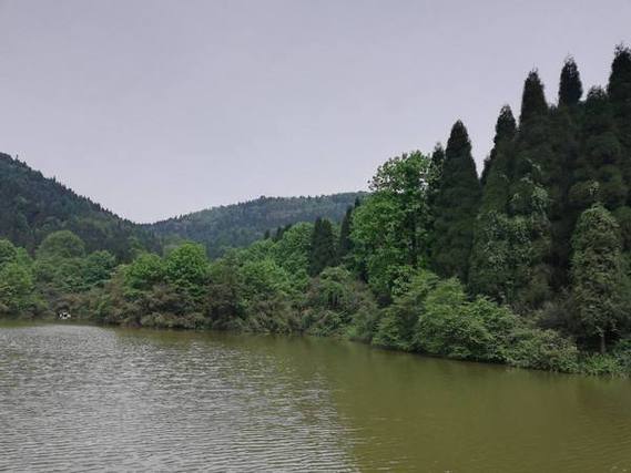 云湖国家森林公园截图