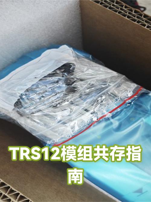 TRS12内置模组图标