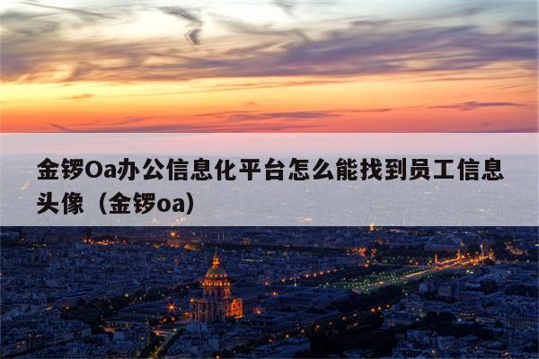 金锣信息化平台图标