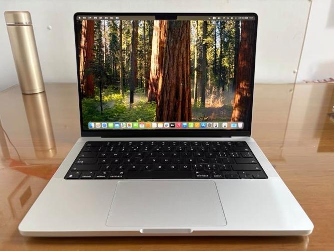 MacBook Pro的性能图标