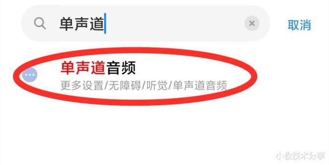 手机开不开单声道音频图标