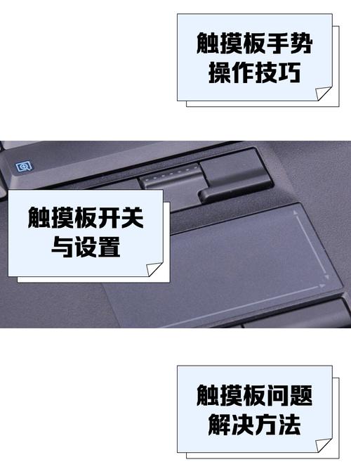 鼠标属性里没有触摸板图标