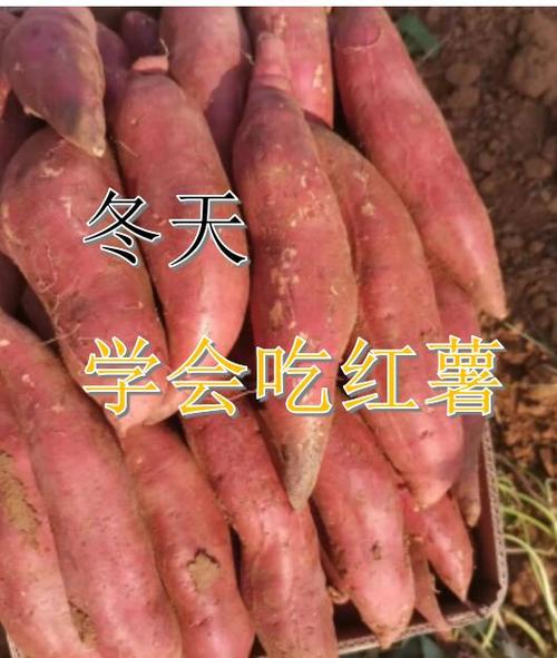 烤红薯的功效与作用截图