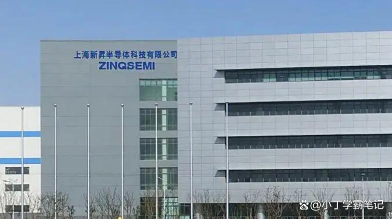 中国十大芯片制造厂截图