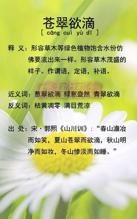 滴的四字成语有哪些图标