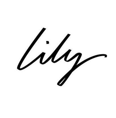 lily公司简介图标