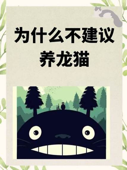 养殖龙猫能不能赚钱截图