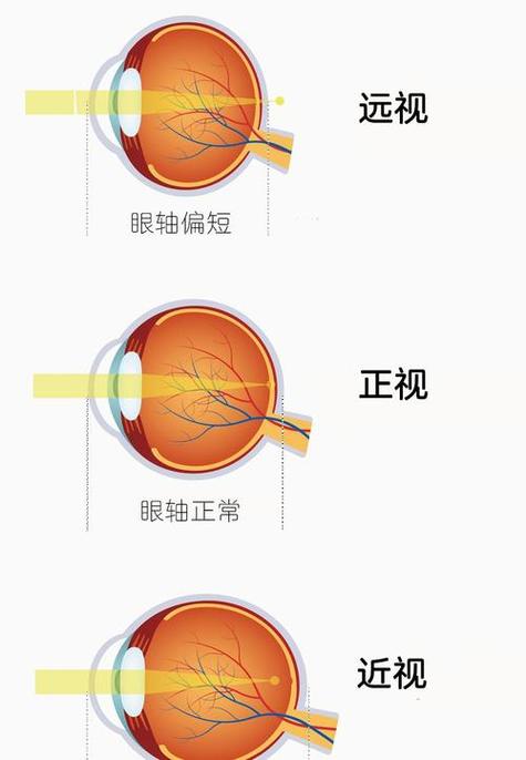 远程看护摄像头图标