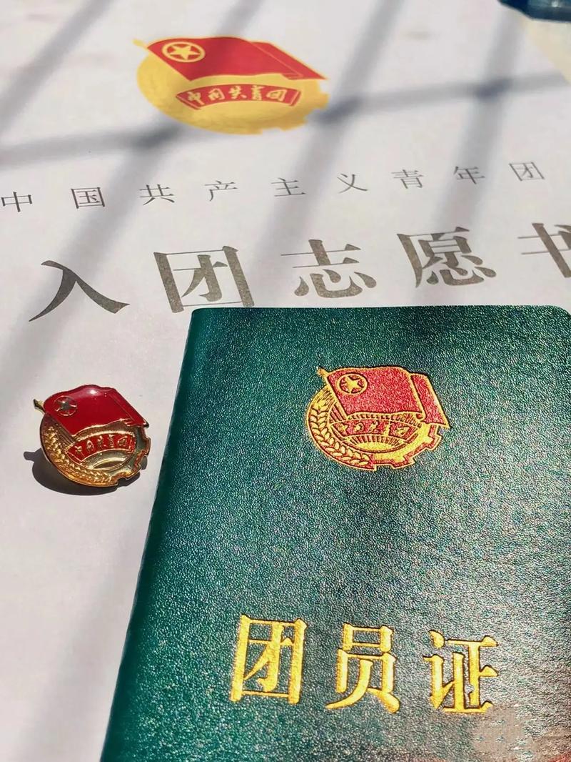 共青团北京线上系统图标