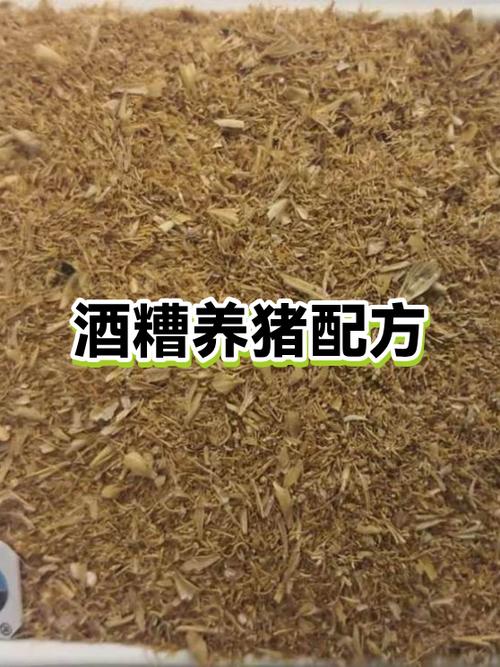 养猪的方法和技巧图标