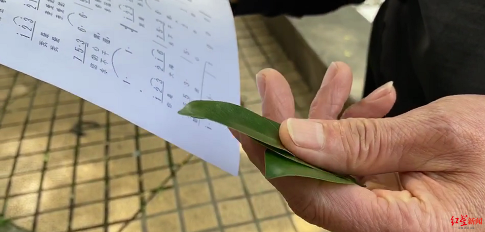 叶子老师百度云截图