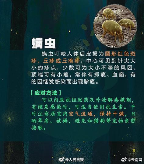 寄生虫怎么处理图标