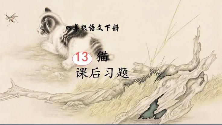 猫课3980靠谱吗图标