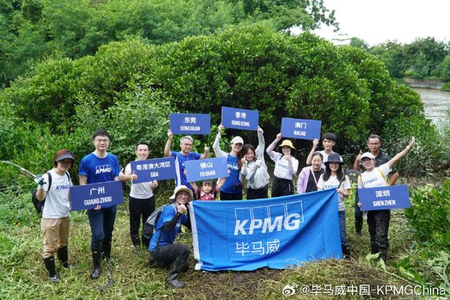 佛山毕马威待遇怎么样图标